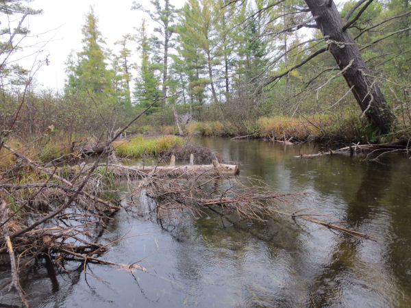 Upper Au Sable River