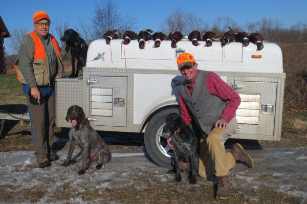 A Day Afield for Pheasants at the PQ Ranch in Indiana